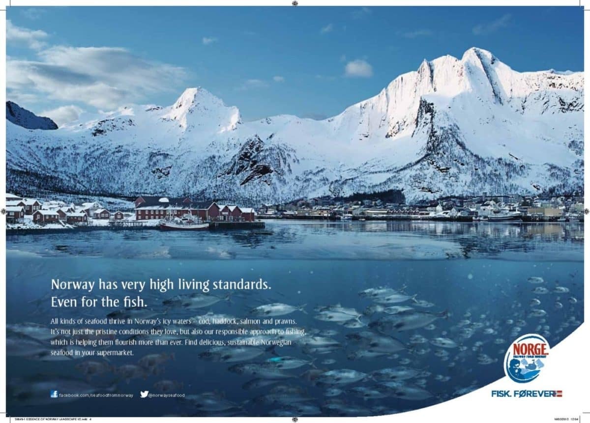 SAS Visual Analytics predictive insights for Norwegian Seafood Council in 2025 - Reviews ...