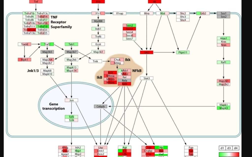 PathVisio in 2025 - Reviews, Features, Pricing, Comparison - Decide ...