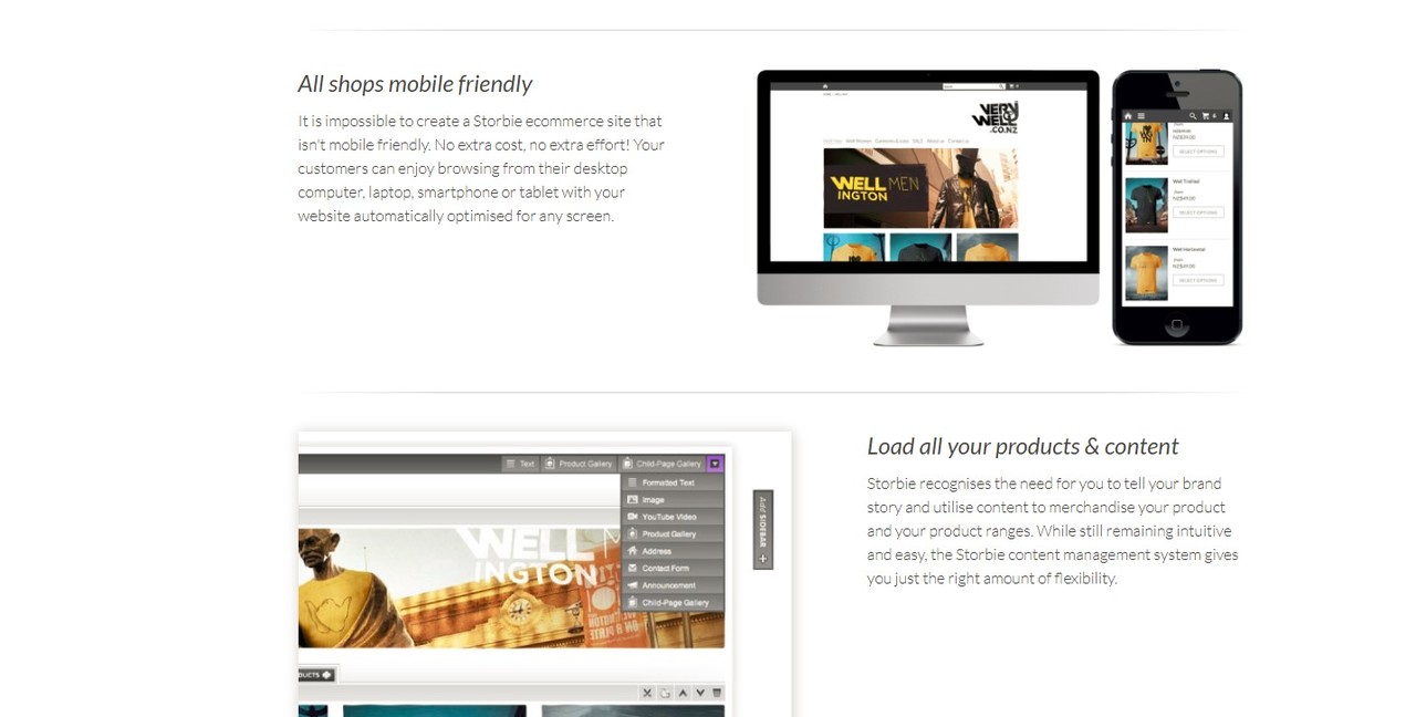 Storbie in 2025 - Reviews, Features, Pricing, Comparison - Decide ...